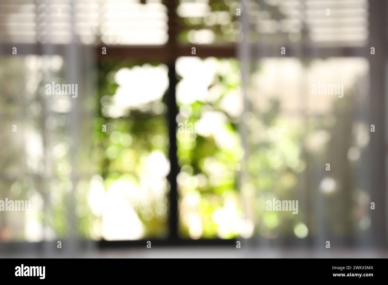 Blurred view through window on garden in morning Stock Photo - Alamy