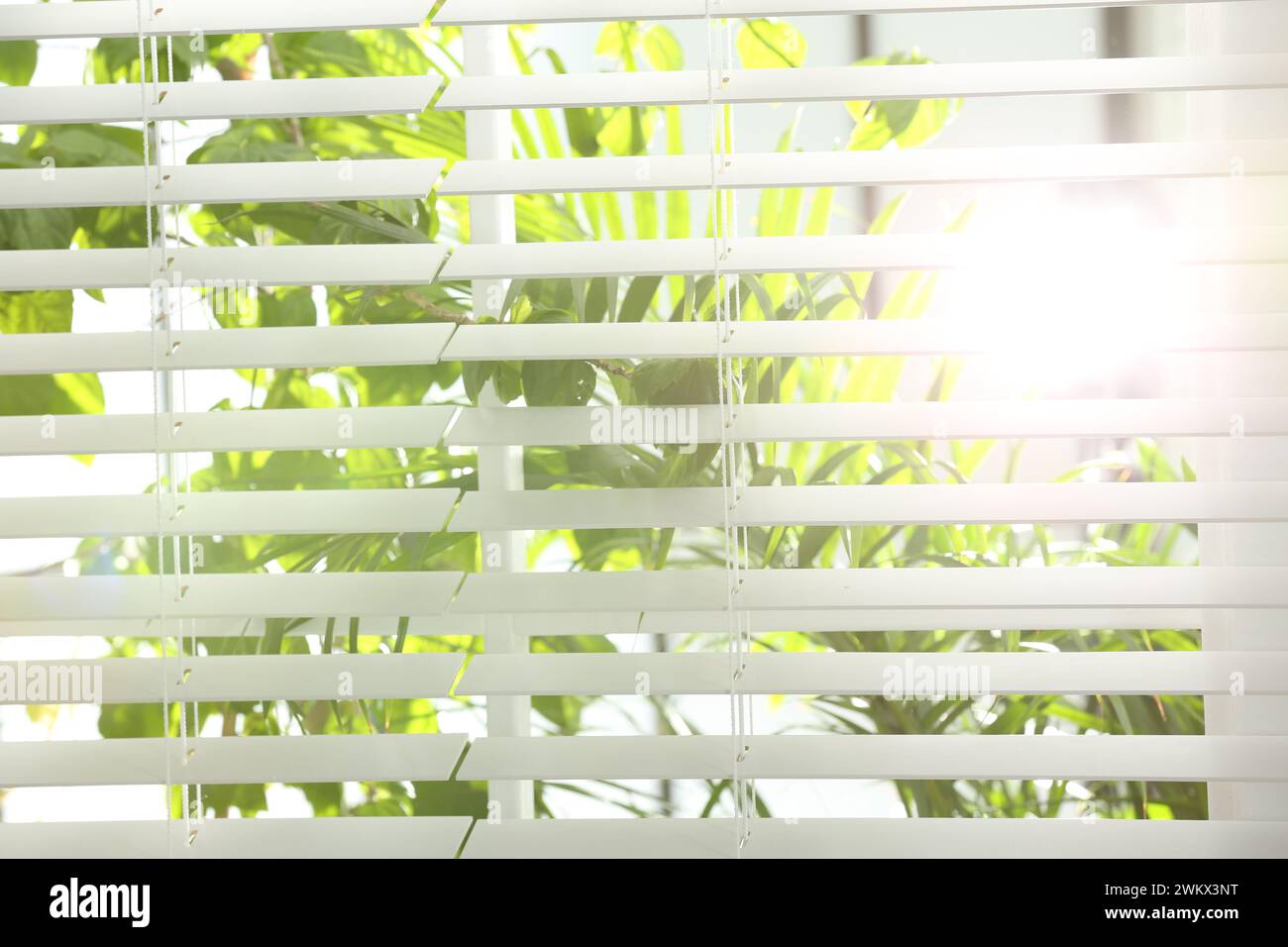 Beautiful view through window on garden in morning Stock Photo - Alamy
