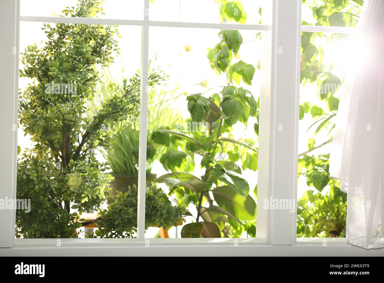 Beautiful view through window on garden in morning Stock Photo - Alamy
