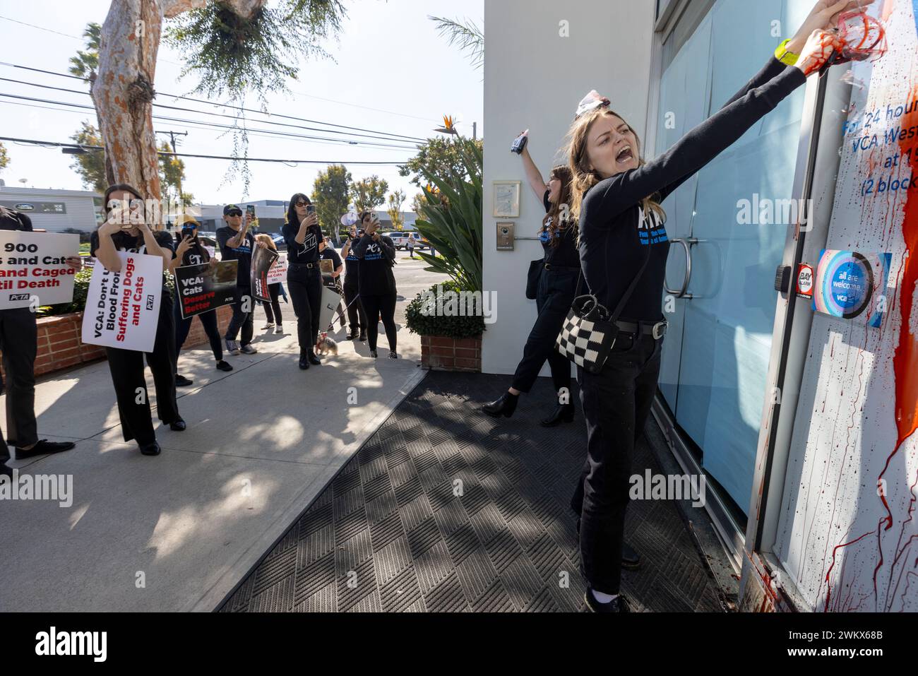 Fake blood supplies hi-res stock photography and images - Alamy