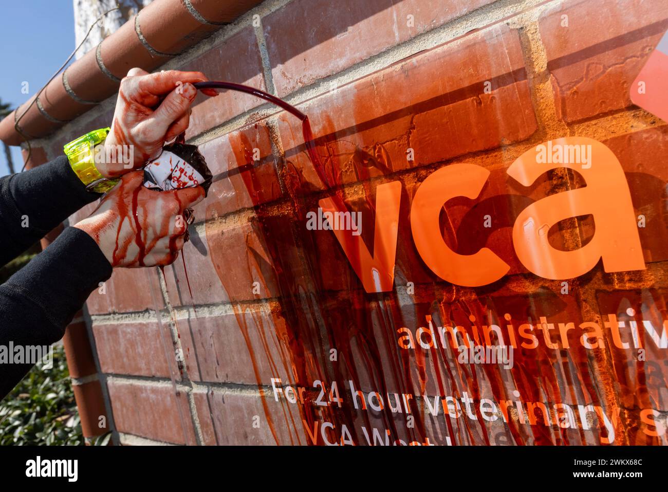 Los Angeles, California, USA. 22nd Feb, 2024. Protesters from PETA ...