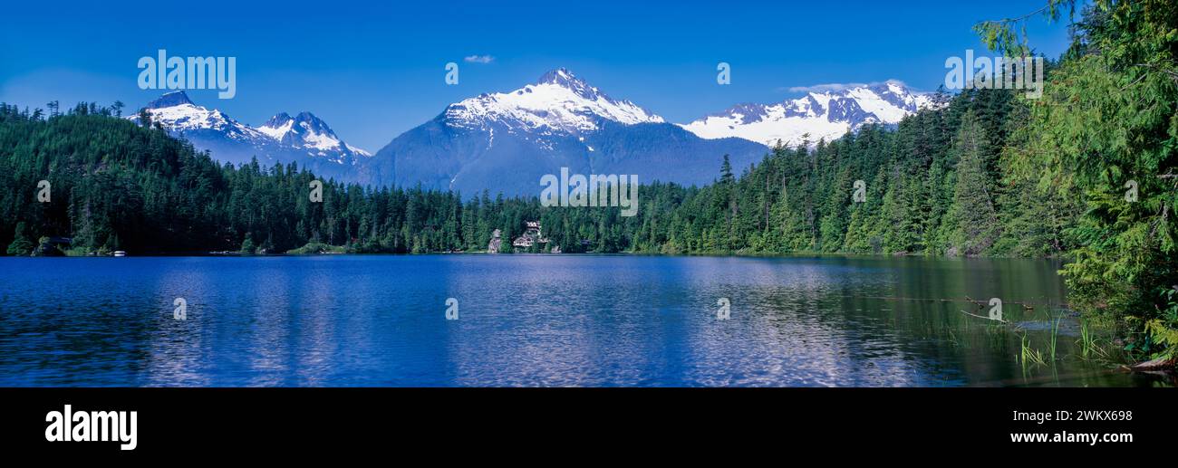 Levette hi-res stock photography and images - Alamy
