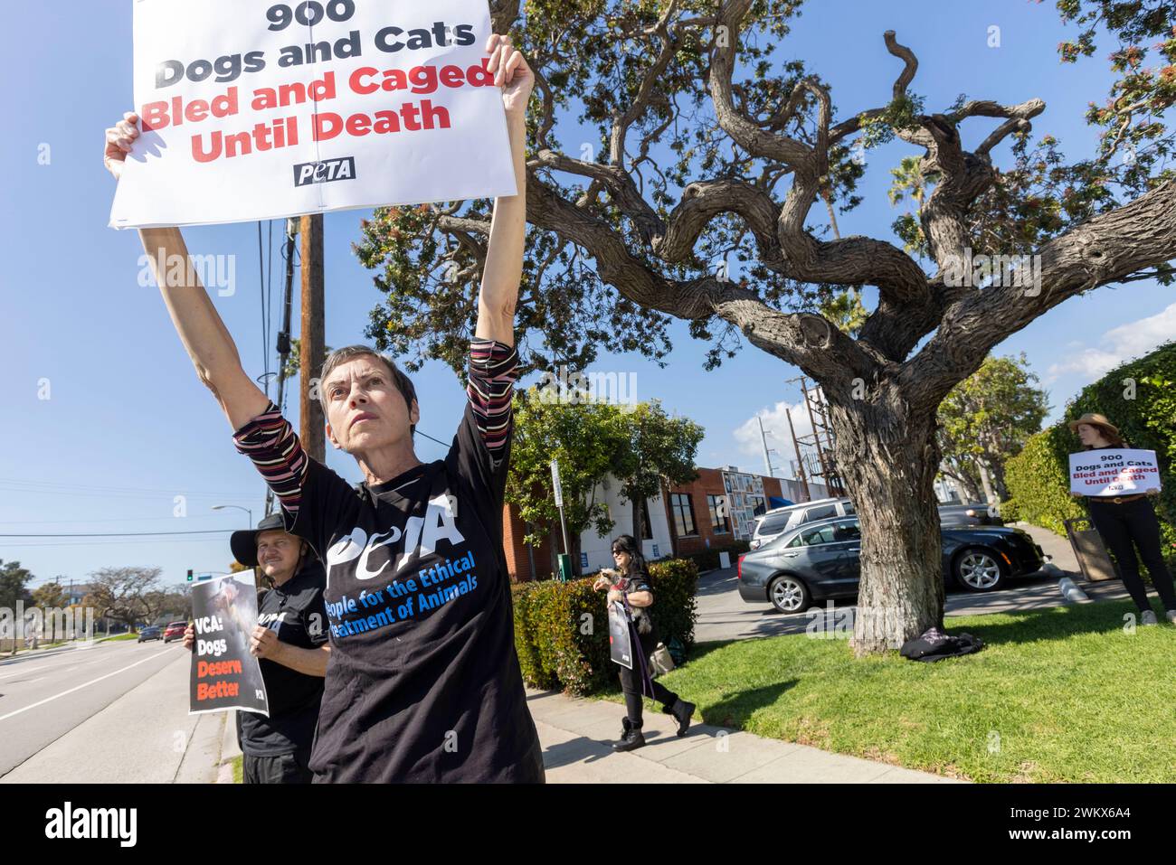Los Angeles, California, USA. 22nd Feb, 2024. Protesters from PETA ...