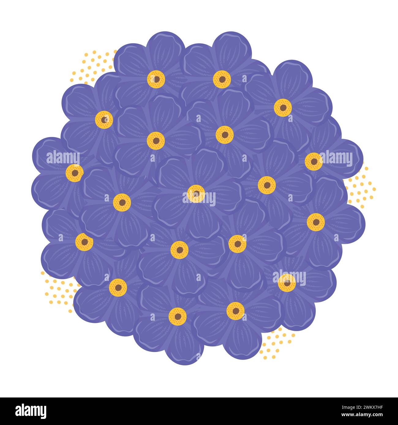 Bouquet wildflowers in circle Cut Out Stock Images & Pictures - Alamy