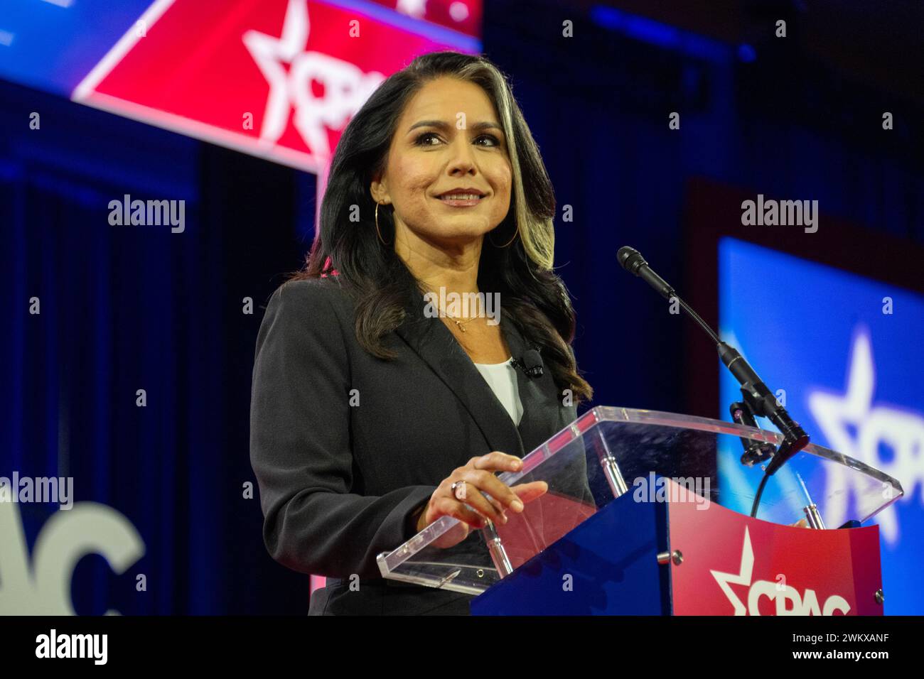 Former United States Representative Tulsi Gabbard (Democrat of Hawaii ...