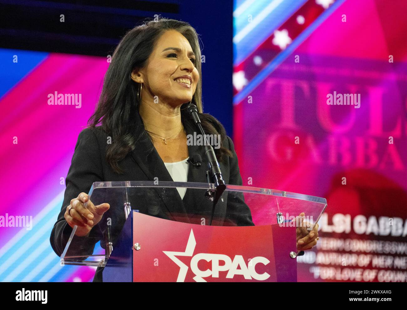 Former United States Representative Tulsi Gabbard (Democrat of Hawaii ...