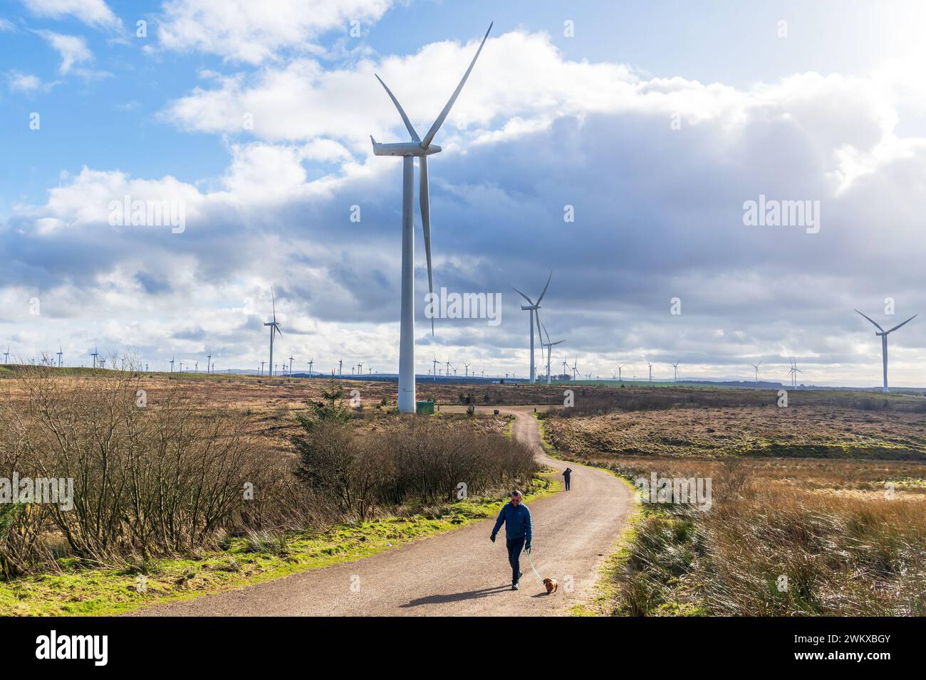 Whitelee wind farm, Eaglesham moor near Glasgow, Scotland, UK. Whitelee ...