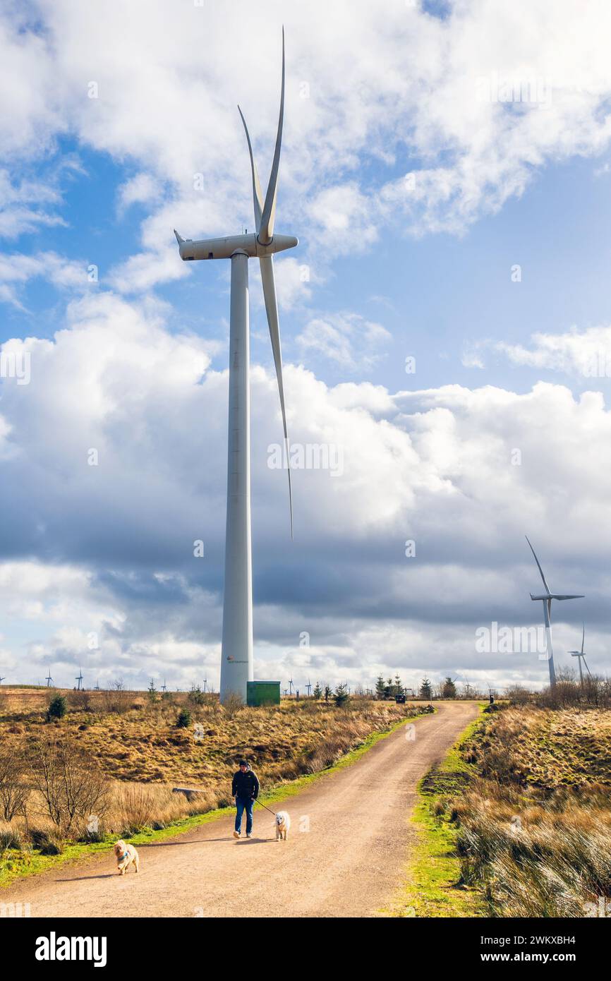 Whitelee wind farm, Eaglesham moor near Glasgow, Scotland, UK. Whitelee ...