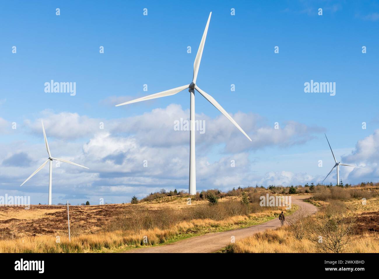 Whitelee wind farm, Eaglesham moor near Glasgow, Scotland, UK. Whitelee ...