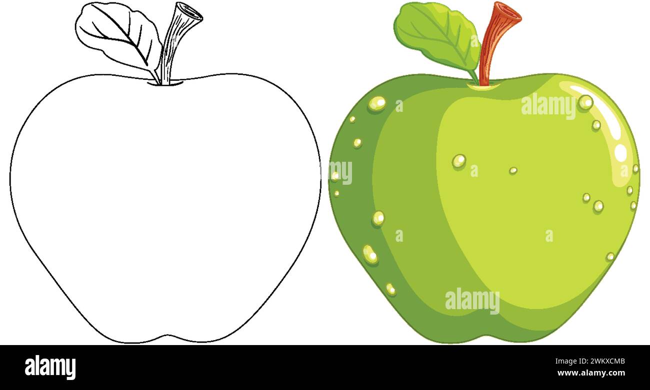 Illustration of an apple, line art and colored Stock Vector Image & Art ...