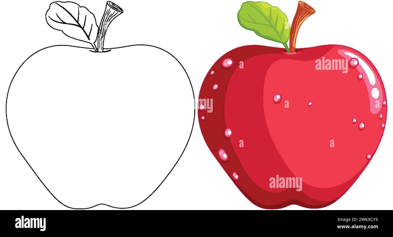 Two apples, one line art, one colored Stock Vector Image & Art - Alamy