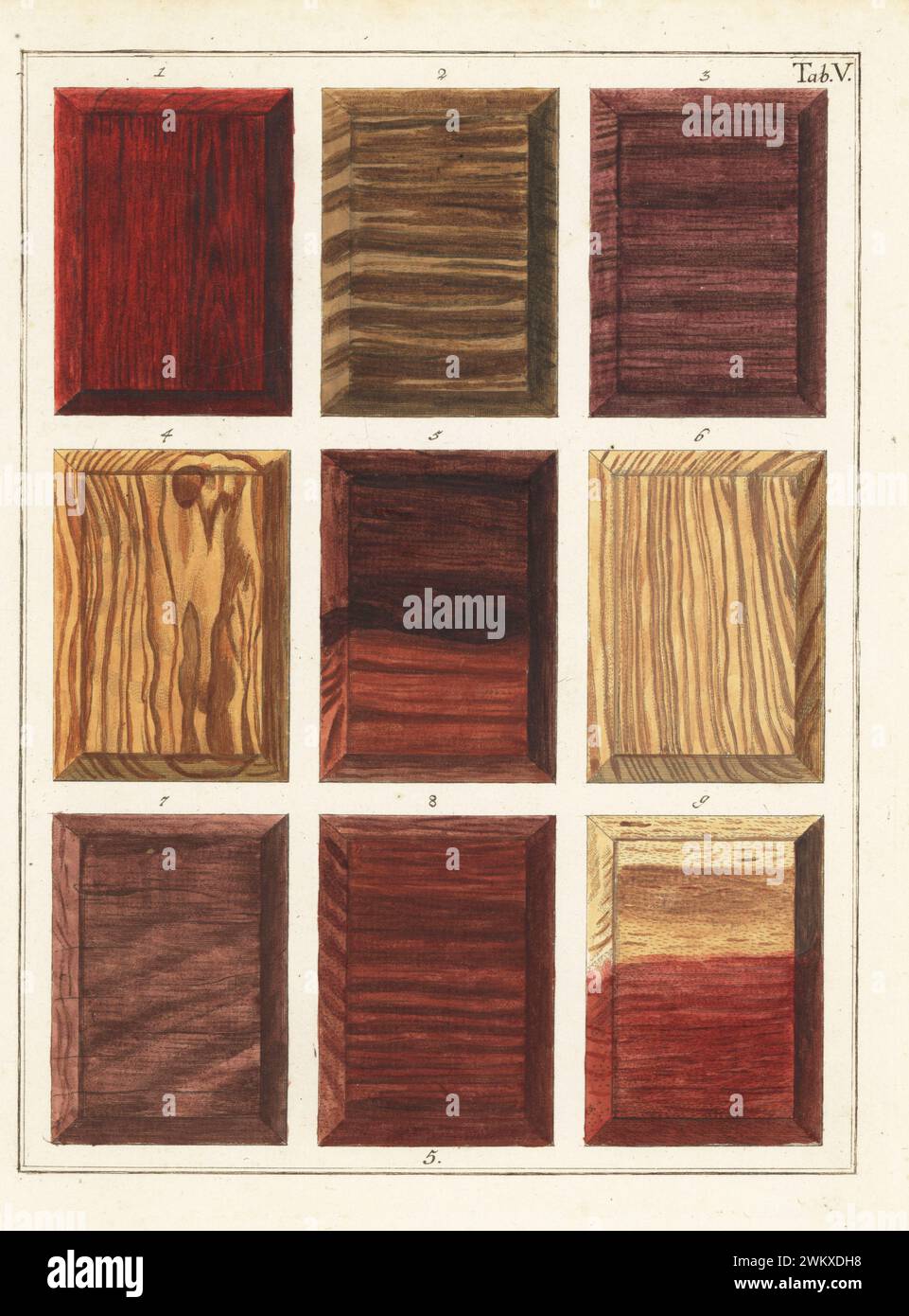 Guayak hi-res stock photography and images - Alamy