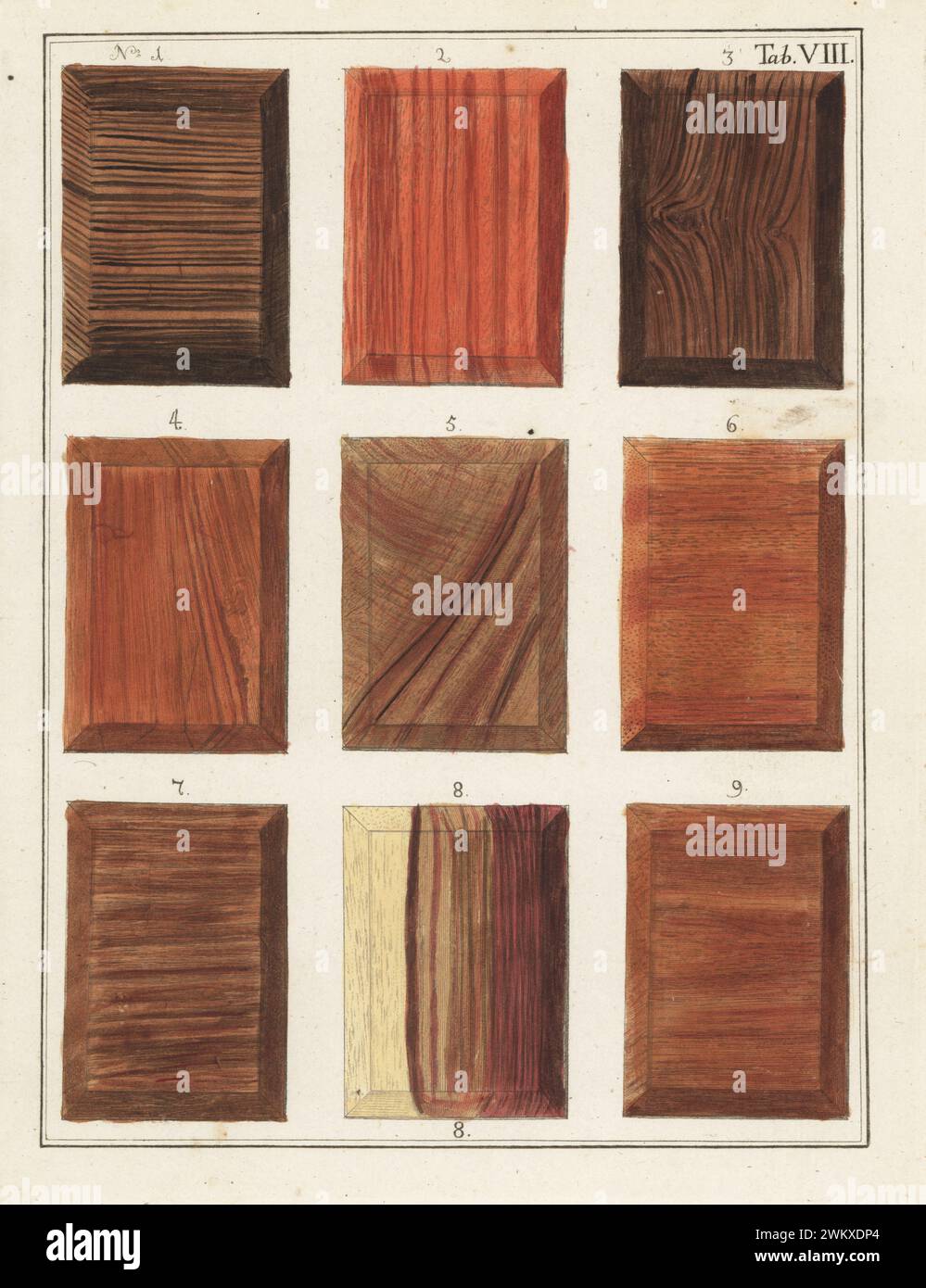 Royal wood 1,3, bimas wood 2, mahogany 3-6, India wood 7, calaminth 8 ...