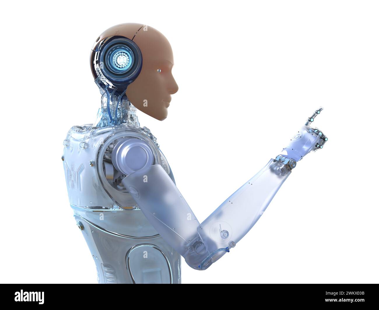 Human skin tissue Cut Out Stock Images & Pictures - Alamy