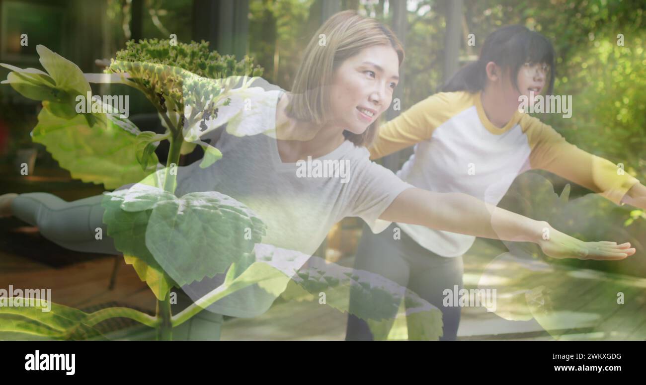 Yoga activity plants outdoor hi-res stock photography and images - Alamy