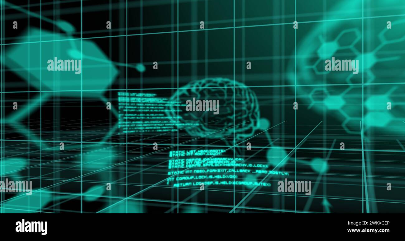 Structures of brain hi-res stock photography and images - Alamy