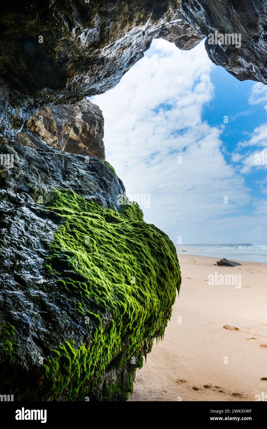 Cave algae hi-res stock photography and images - Alamy