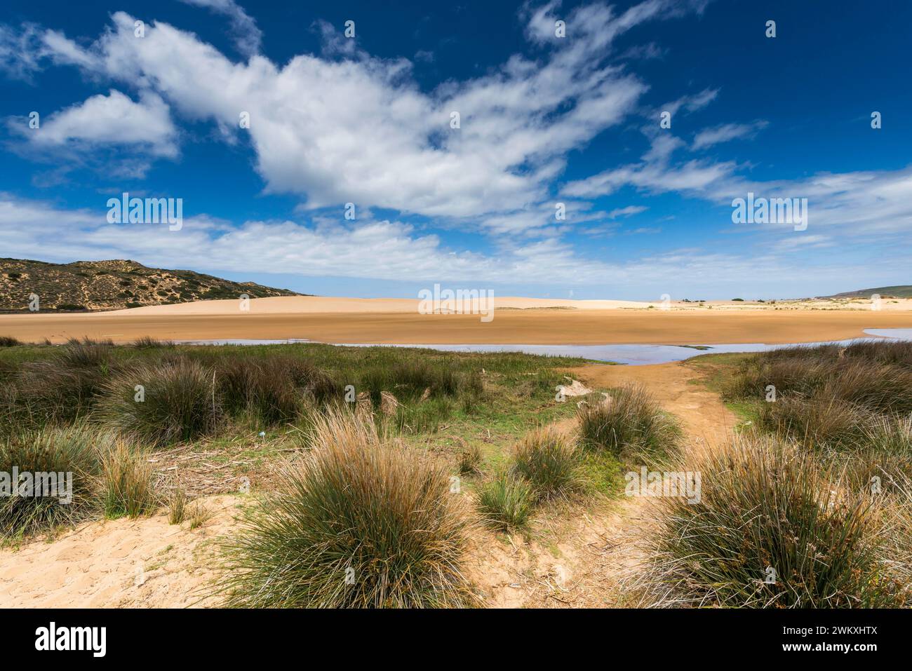 Coastal landscape, sea, beach, beach landscape, Atlantic, Atlantic ...