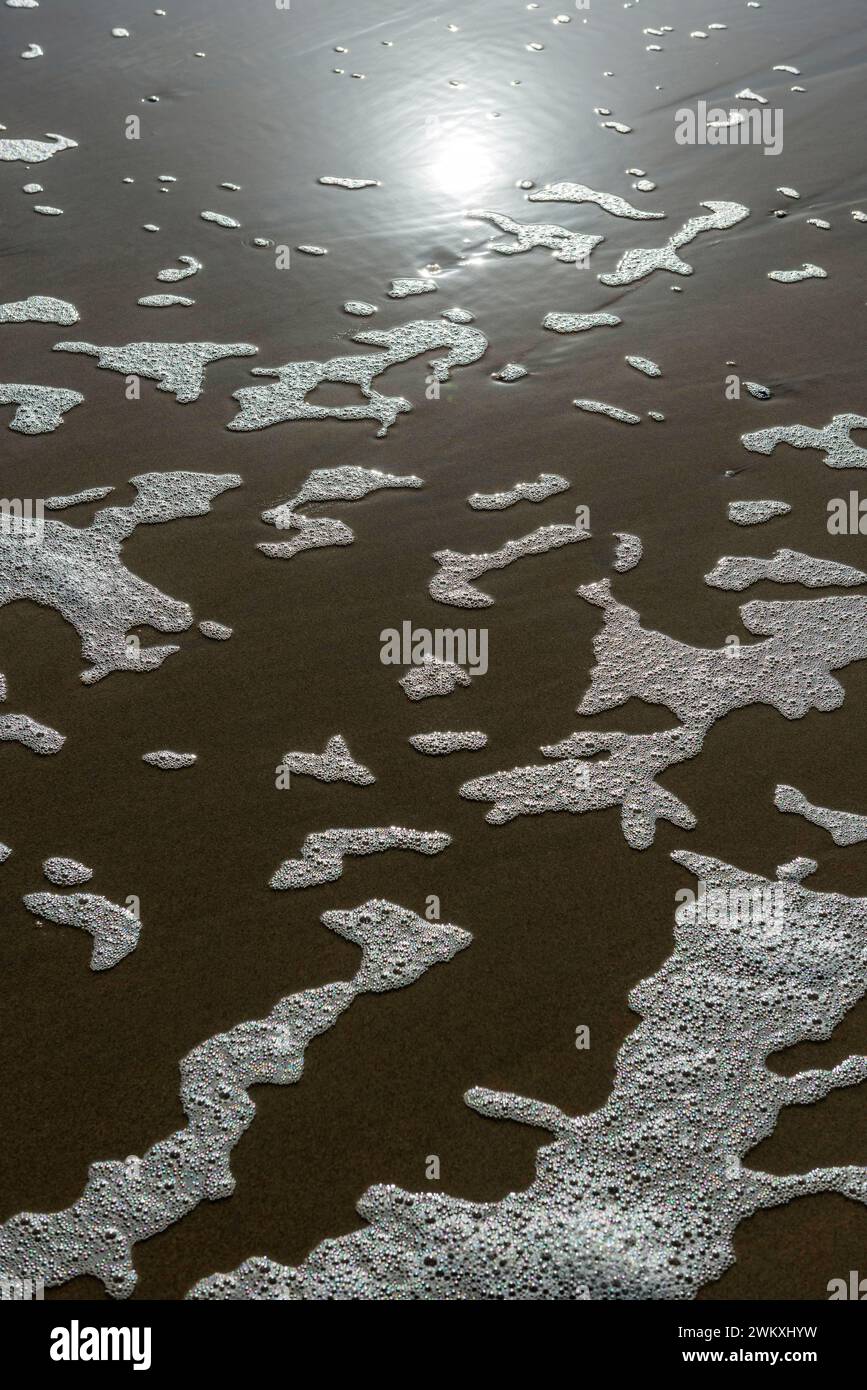 Texture of sand, water and sea foam, foam, environment, climate, nature ...