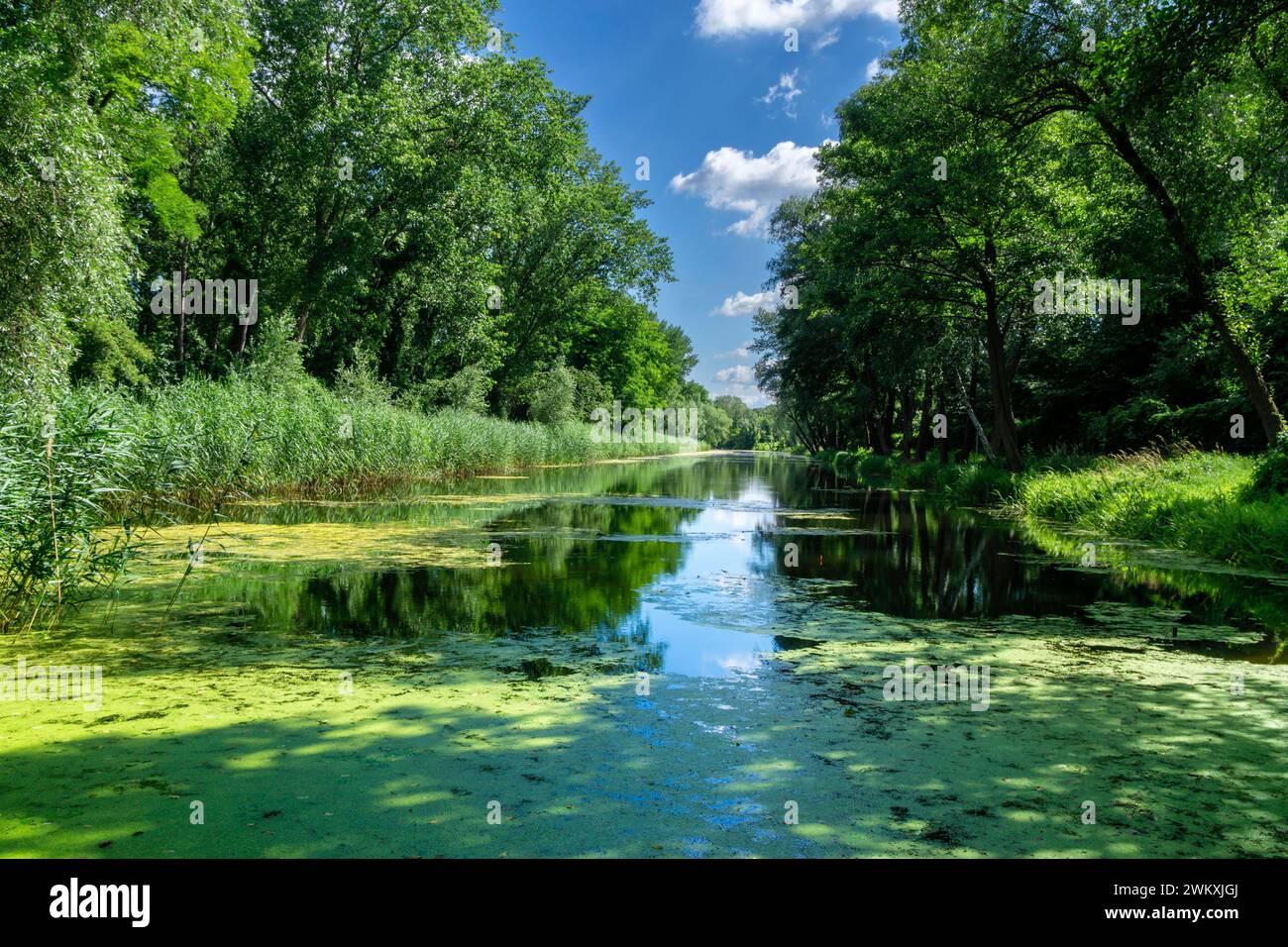 Landscape and nature around Berlin, Germany Stock Photo - Alamy
