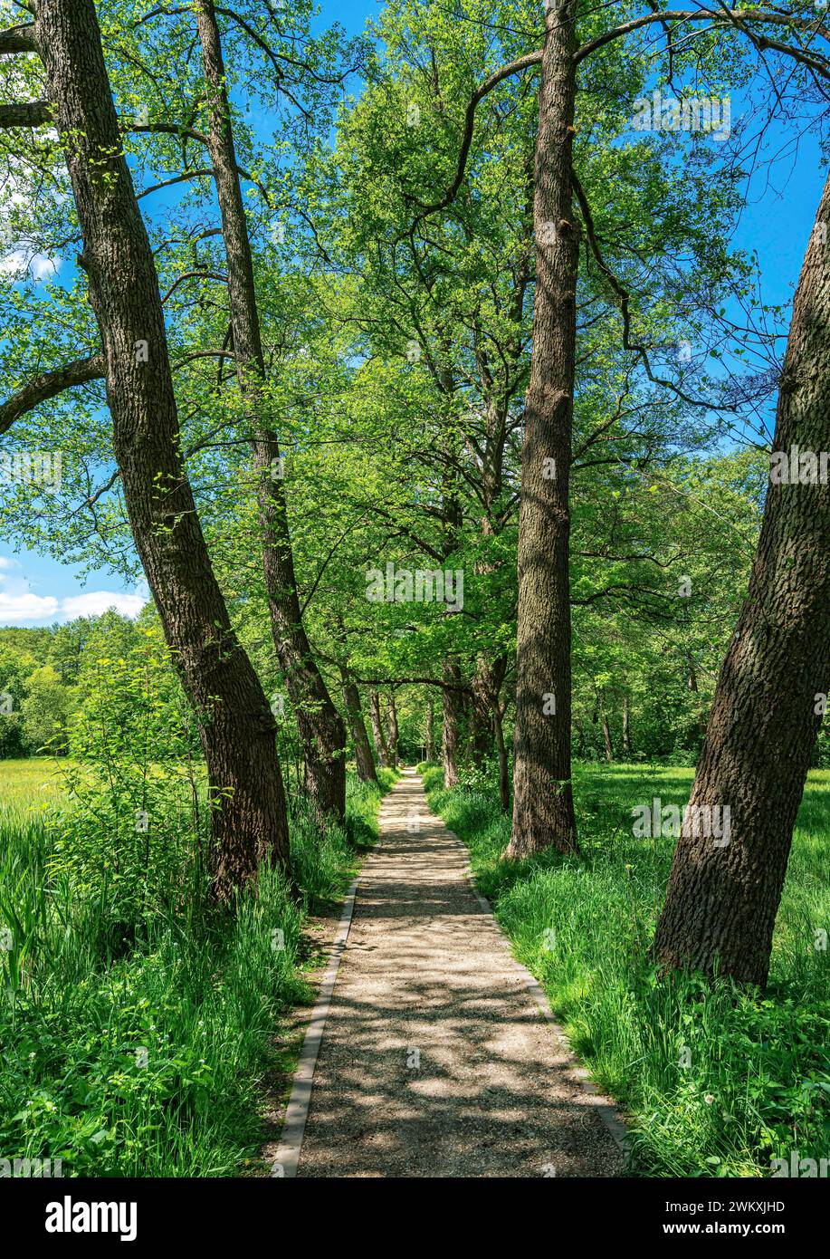 Landscape and nature around Berlin, Germany Stock Photo - Alamy