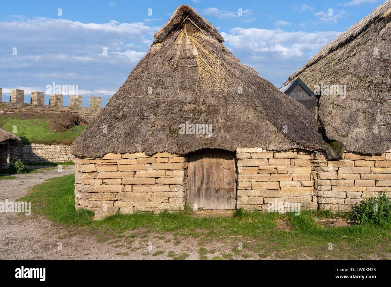A row of small thatched huts along a path outside a rural settlement ...