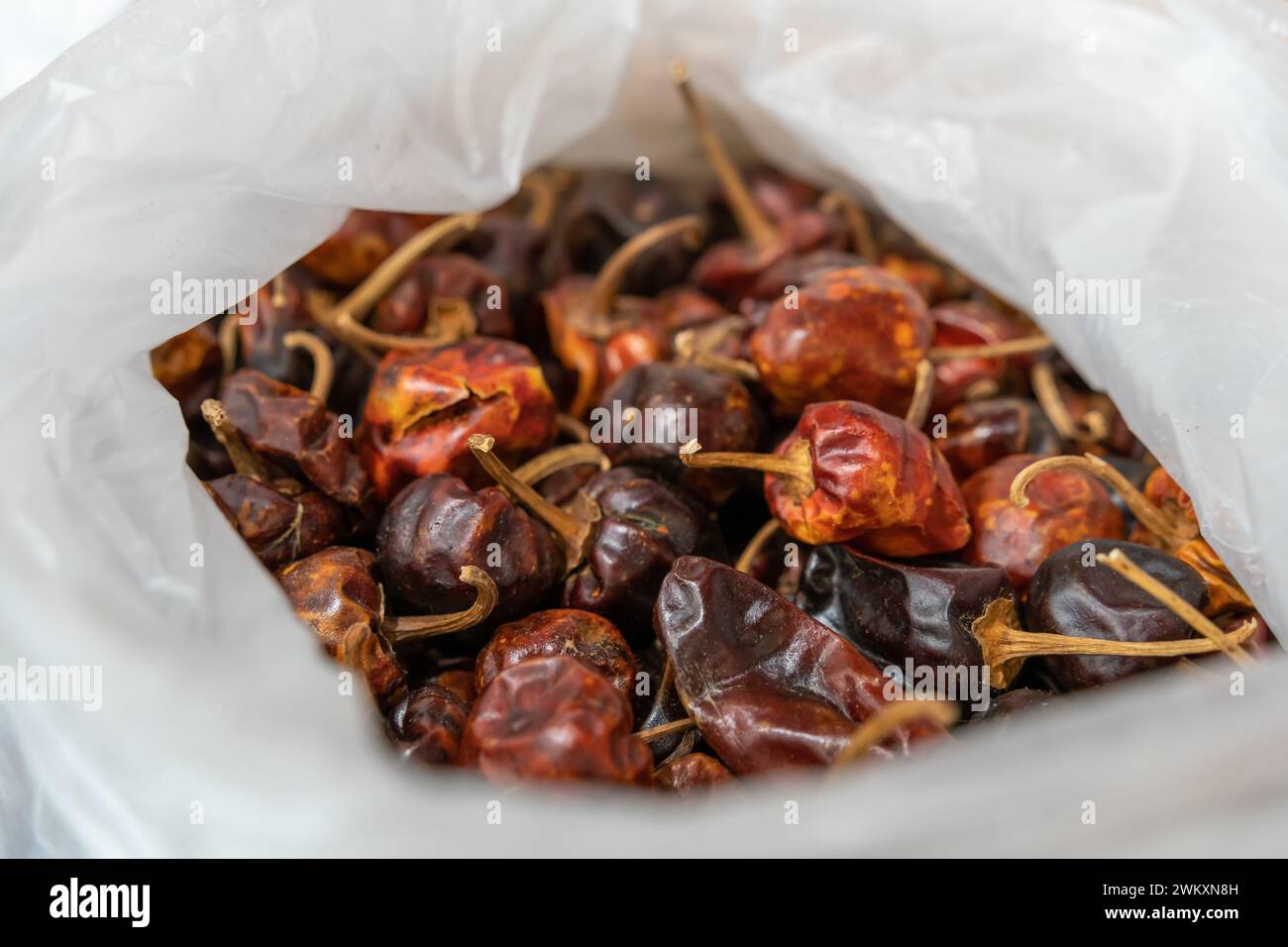 Round pepper hi-res stock photography and images - Alamy