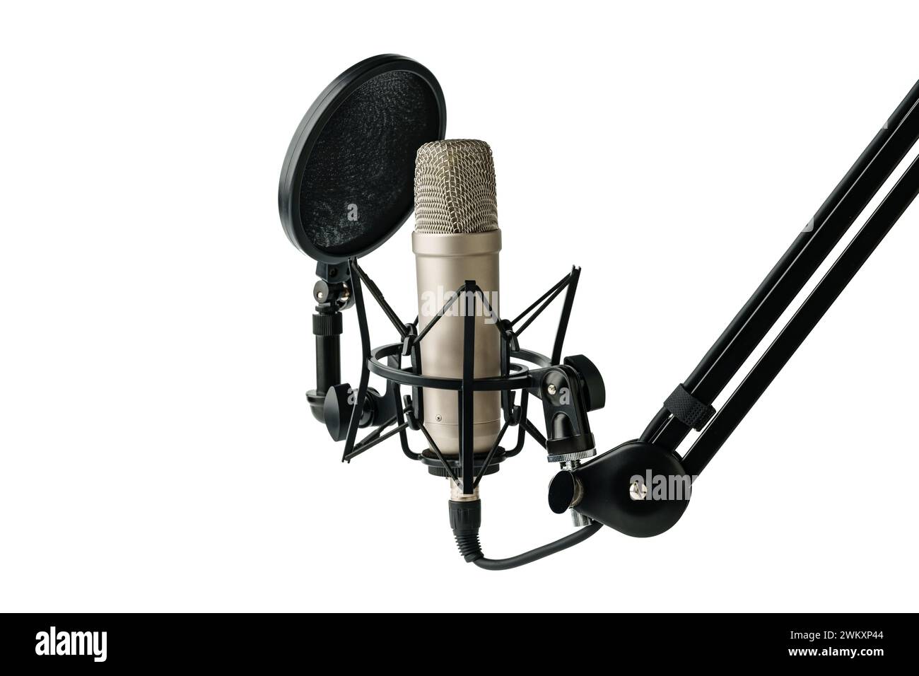 Professional studio microphone on the white background Stock Photo - Alamy