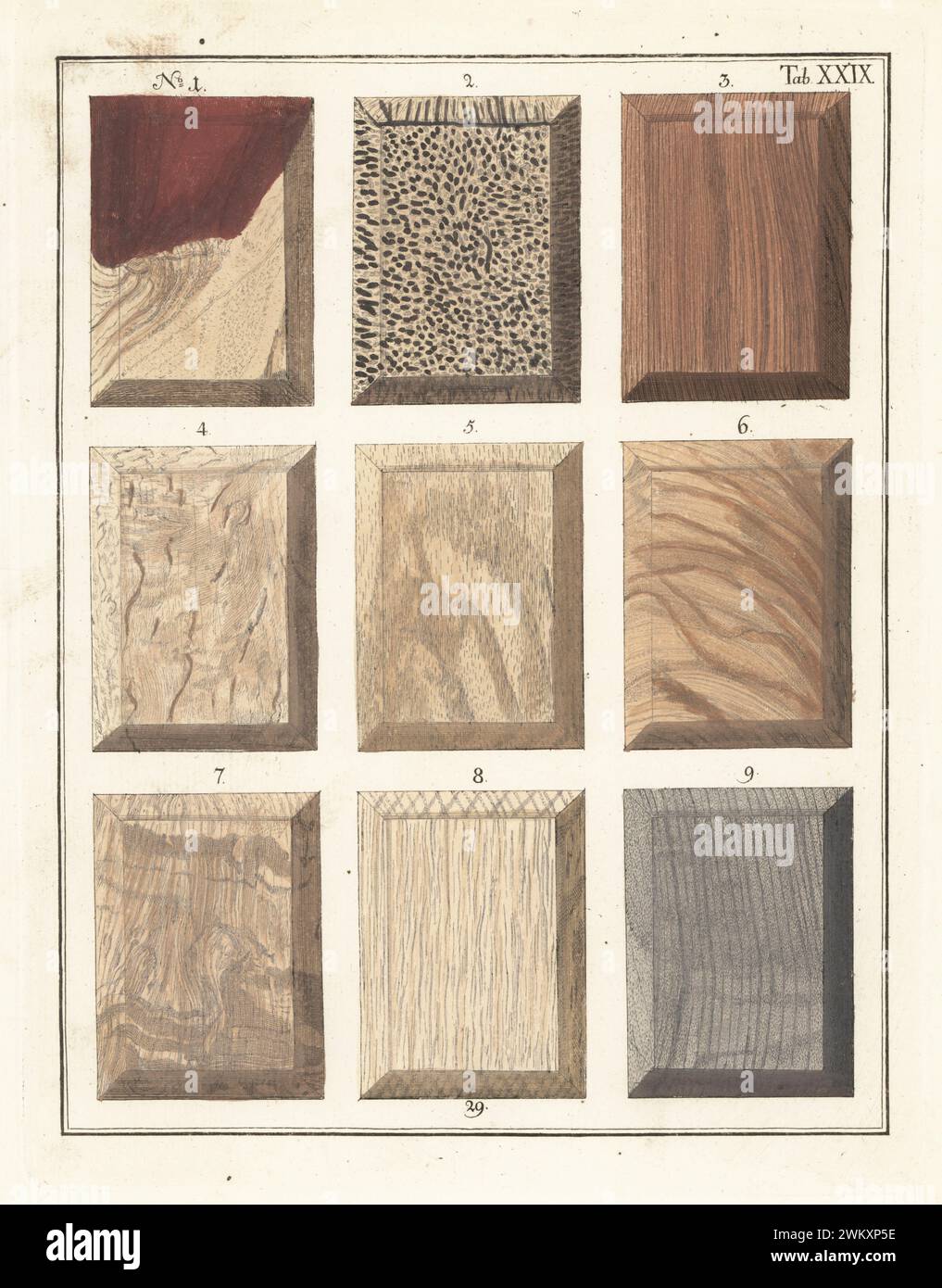 American wood 1, yellow root 2, Baltic swimming wood 3, wild northern ...