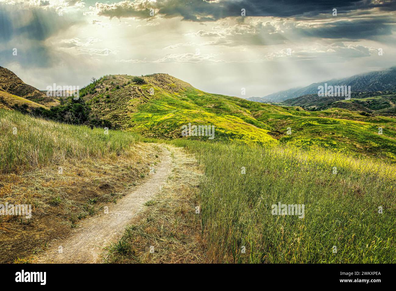 Dirt path through lush valley with stunning sky Stock Photo - Alamy