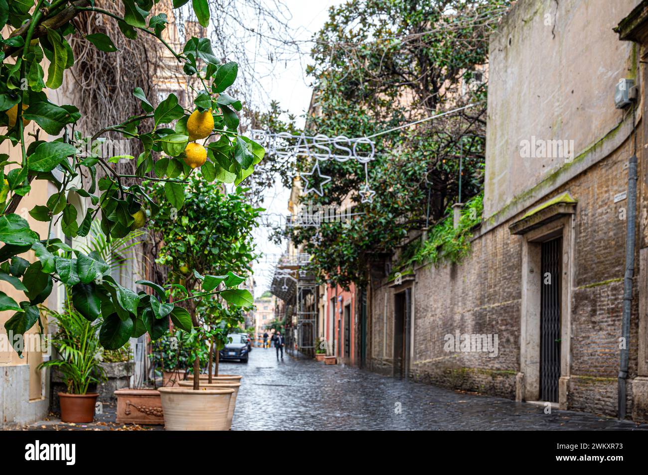 Rome via margutta italy hi-res stock photography and images - Alamy