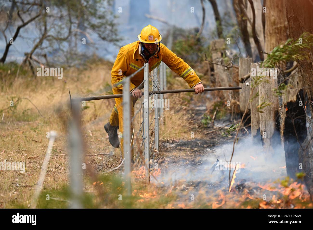 Australia. 23rd Feb, 2024. A fire fighter is seen at work defending a ...