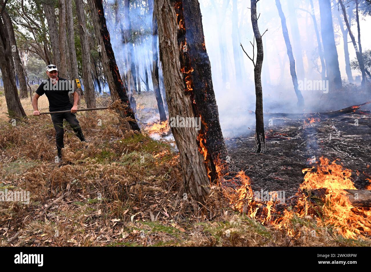 Australia. 23rd Feb, 2024. Local resisdent Attila Hegedus is seen at ...