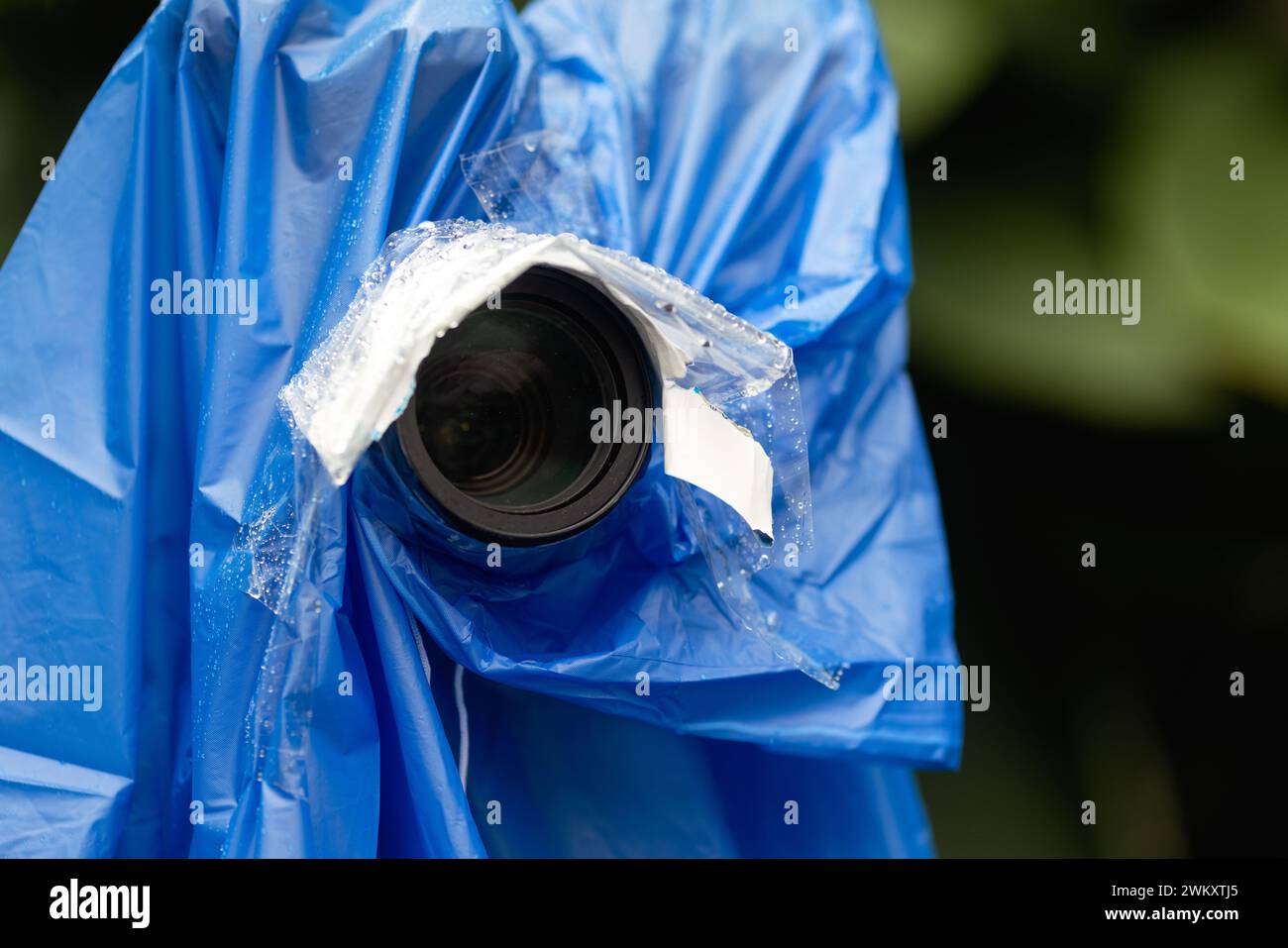 The camera is protected by a blue polyethylene bag from the rain. Photo ...