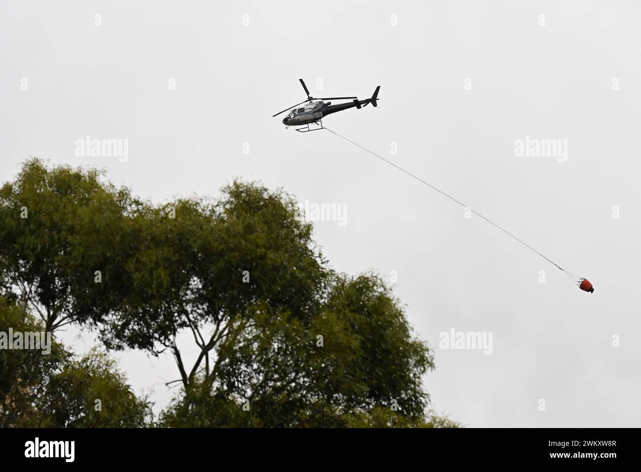 Australia. 23rd Feb, 2024. A water bombing helicopter is seen near ...