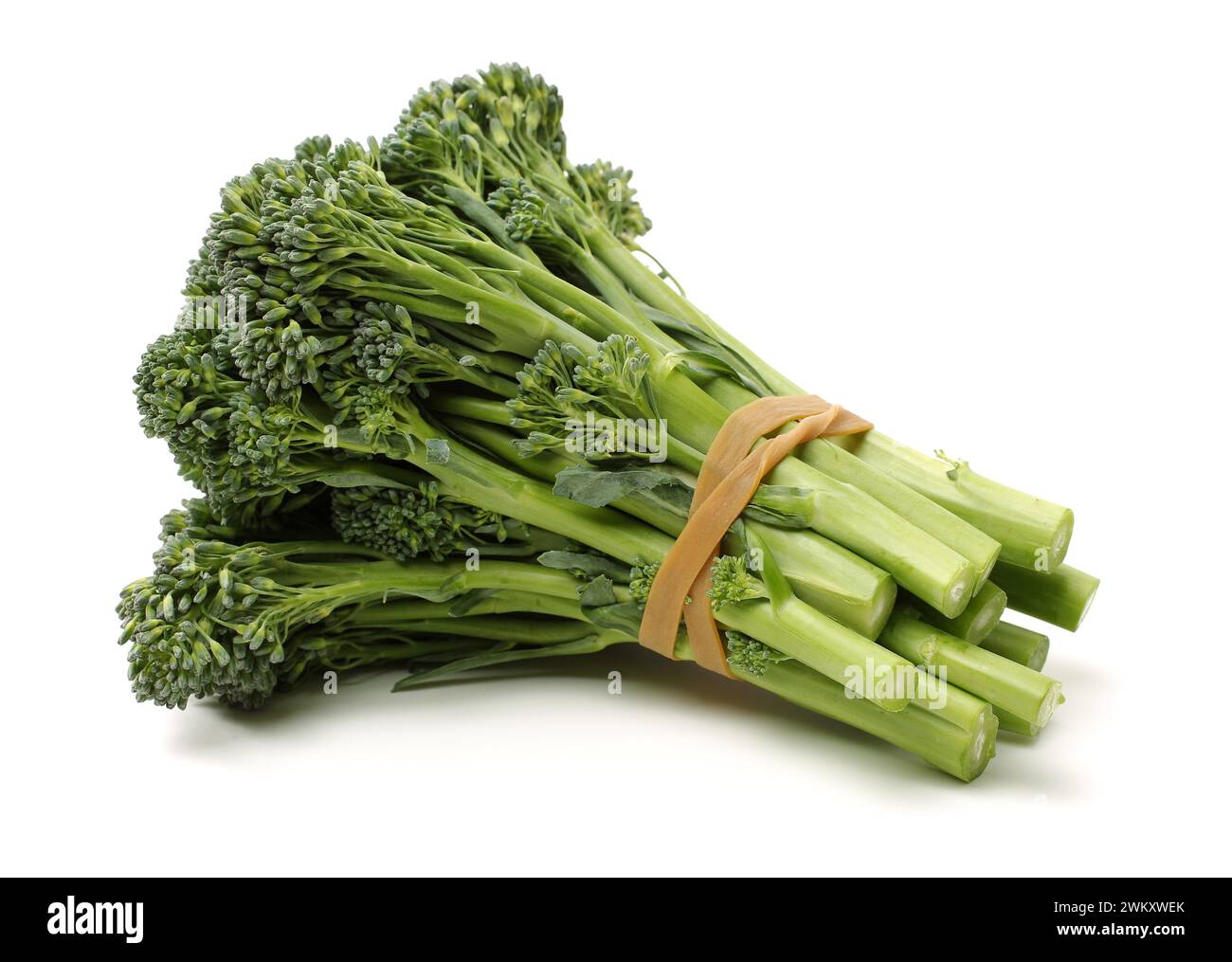 broccolini baby broccoli on white background Stock Photo - Alamy