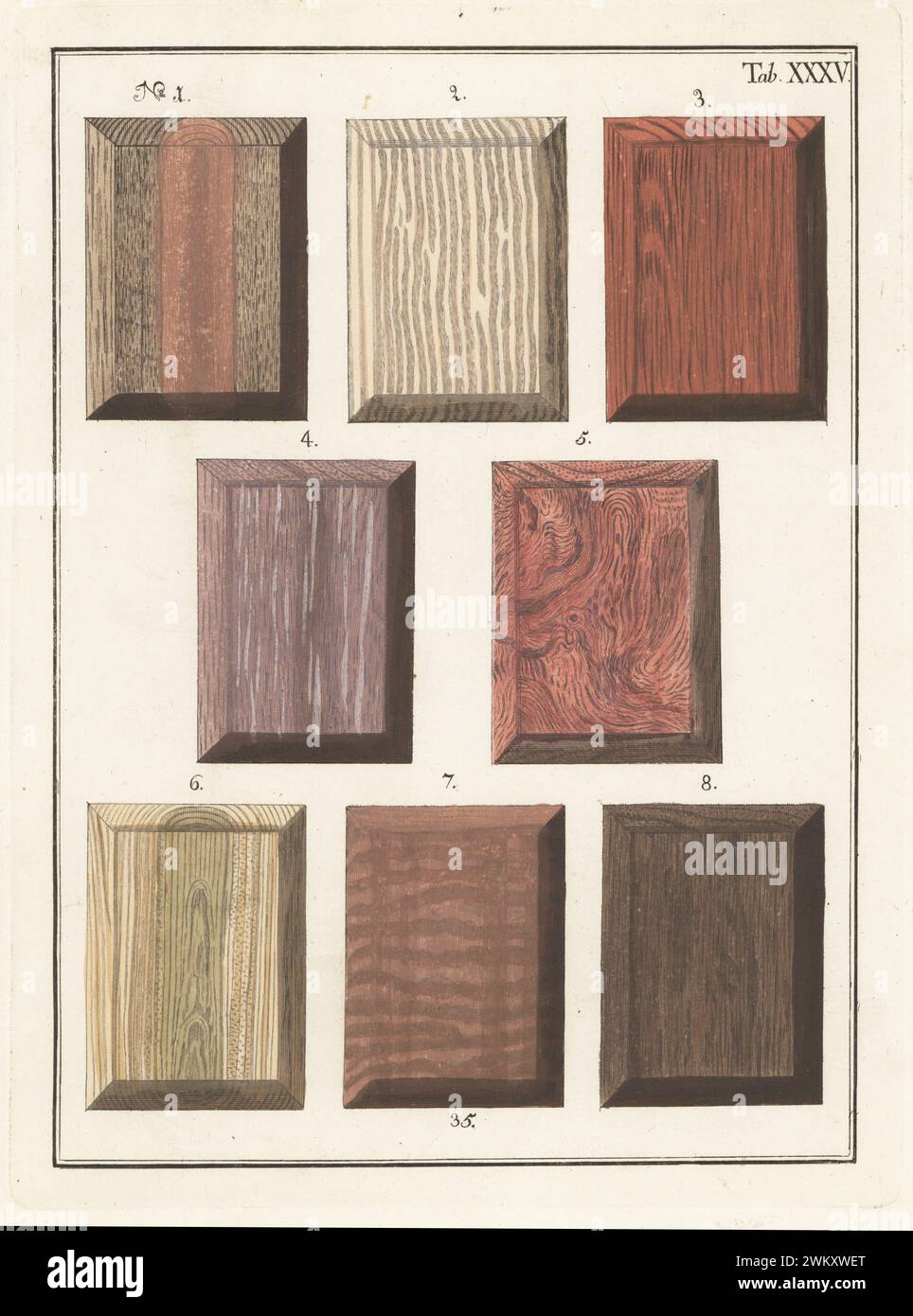 New litorea wood hi-res stock photography and images - Alamy