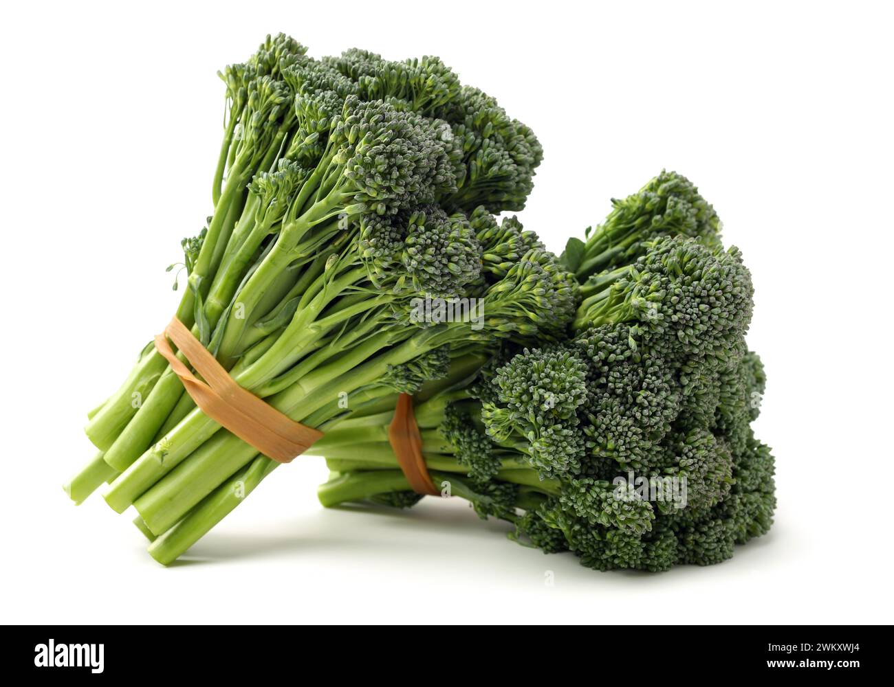 broccolini baby broccoli on white background Stock Photo - Alamy