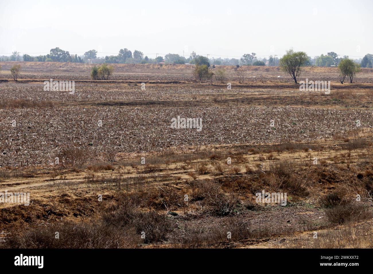 Lake Zumpango In Drought Due to Lack Of Rain February 21, 2024 ...