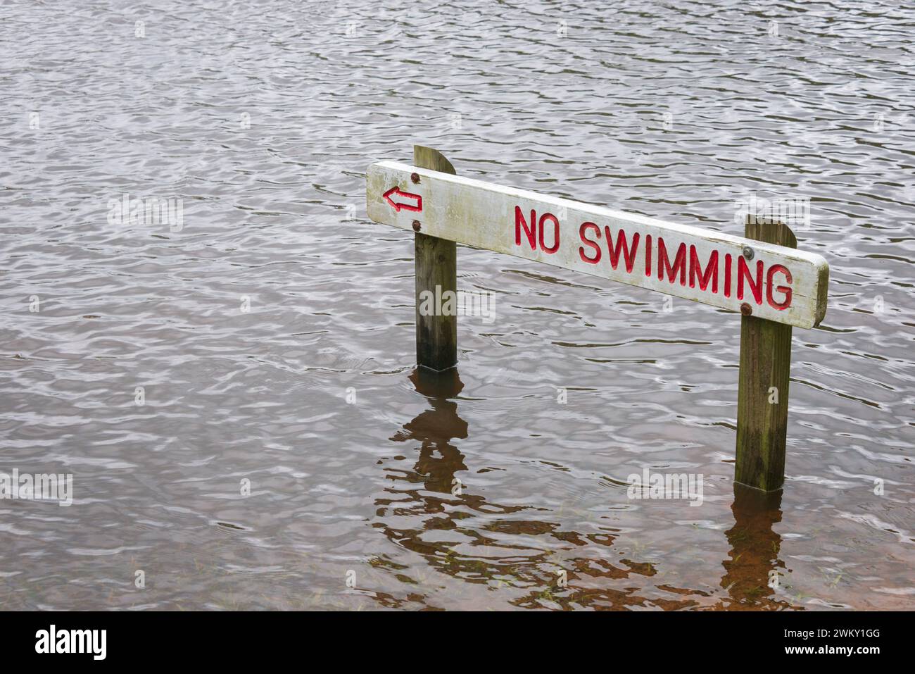 Swamp habitats hi-res stock photography and images - Alamy