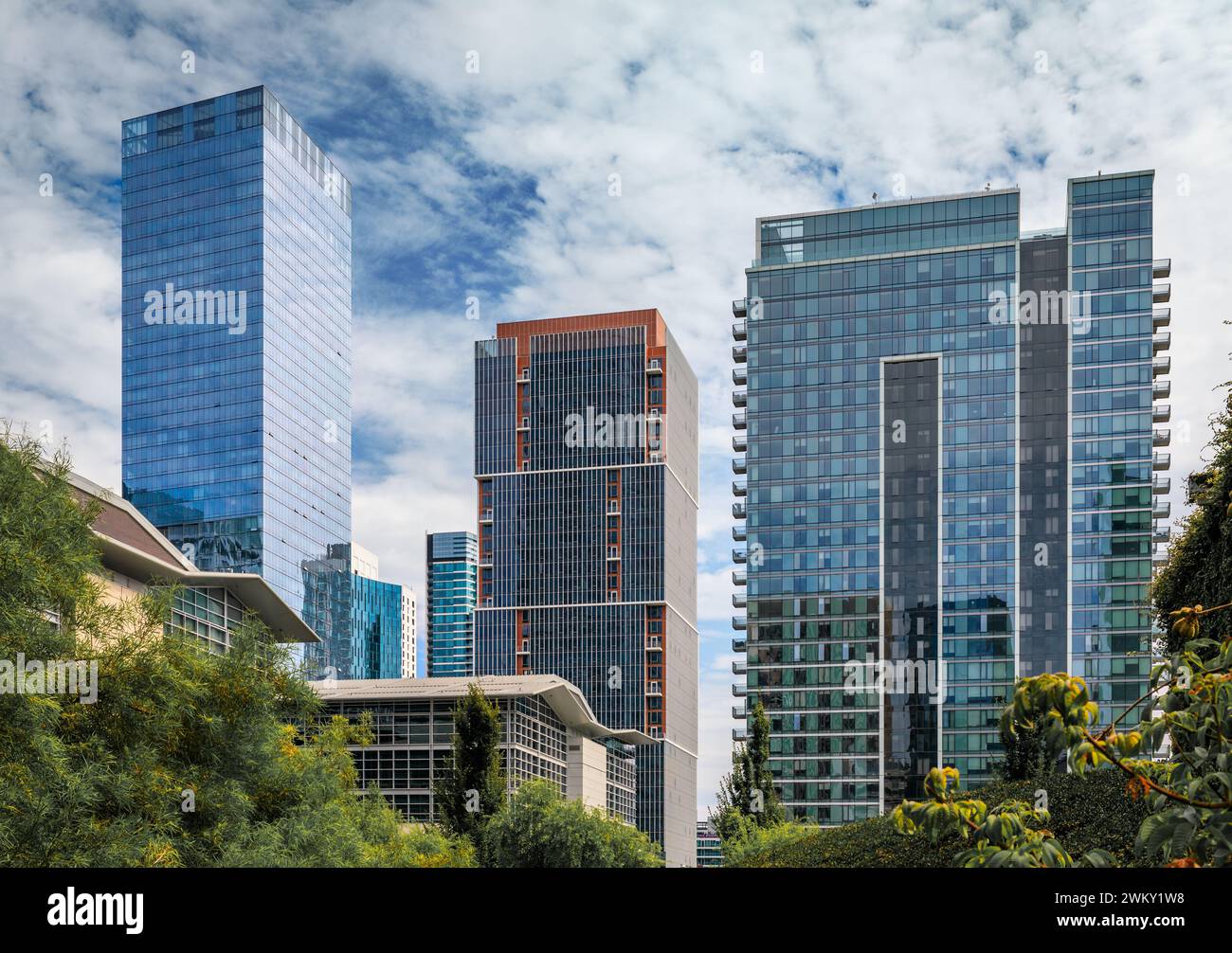 View of a downtown skyscrapers with trees and a path in a park in the ...