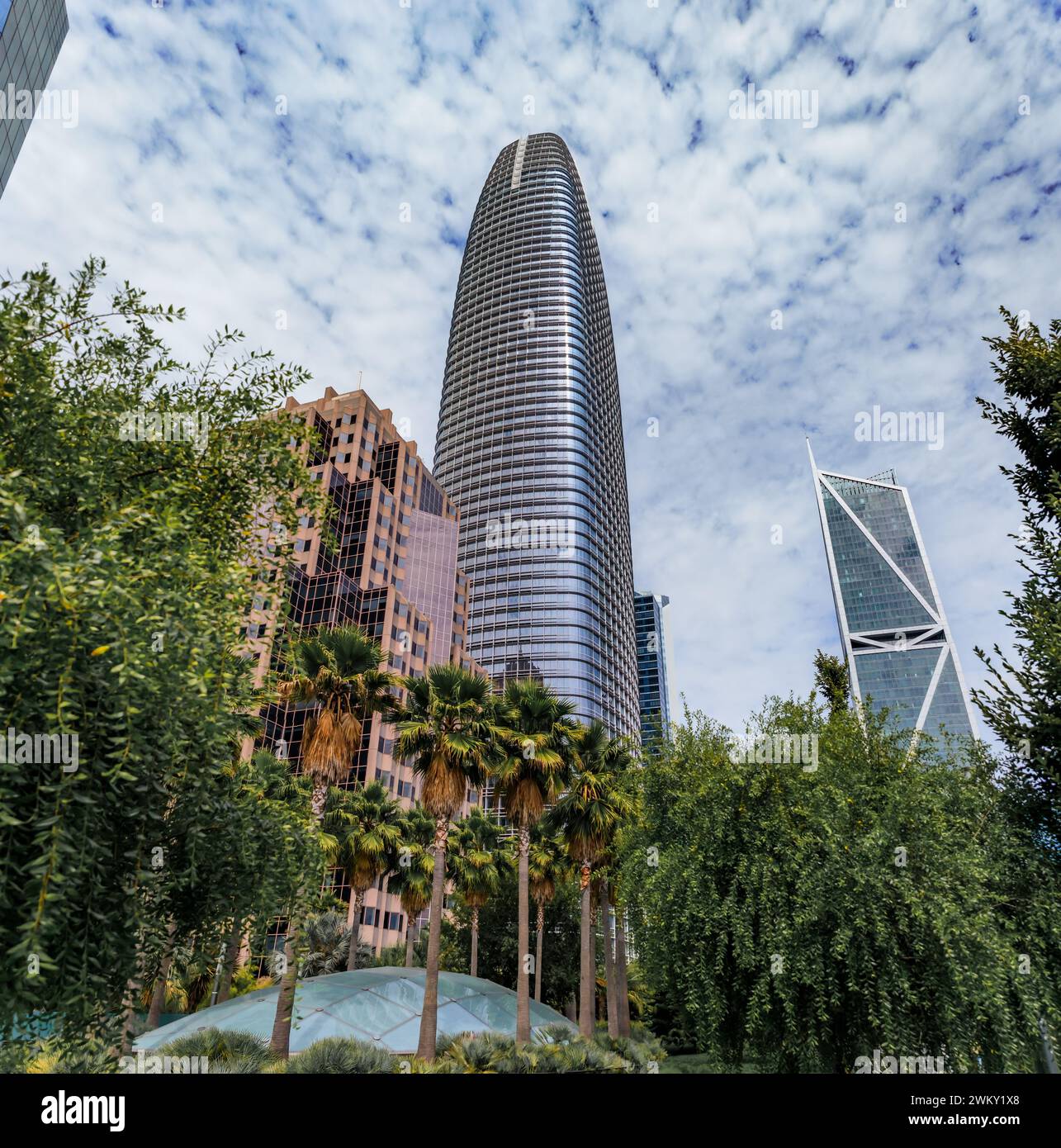 View of a downtown skyscrapers with trees in a park in the SOMA ...