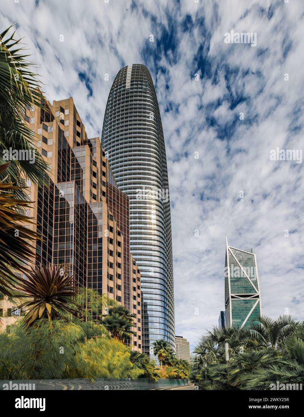 View of a downtown skyscrapers with trees and a path in a park in the ...