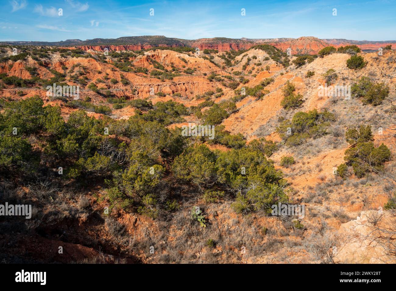 Caprock Canyons State Park, in the eastern edge of the Llano Estacado ...