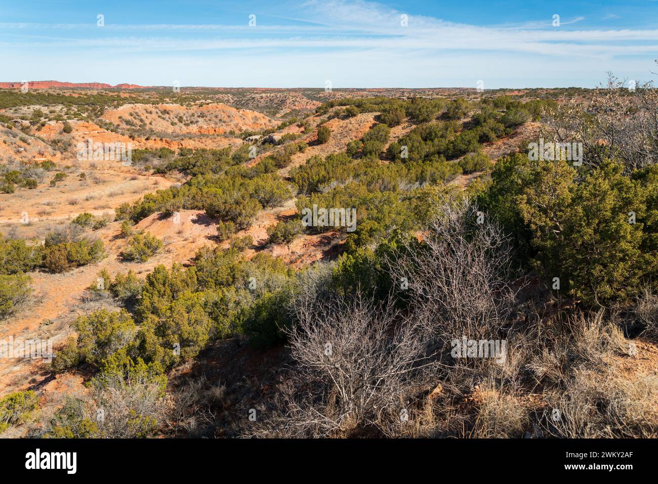 Llano estacado hi-res stock photography and images - Alamy