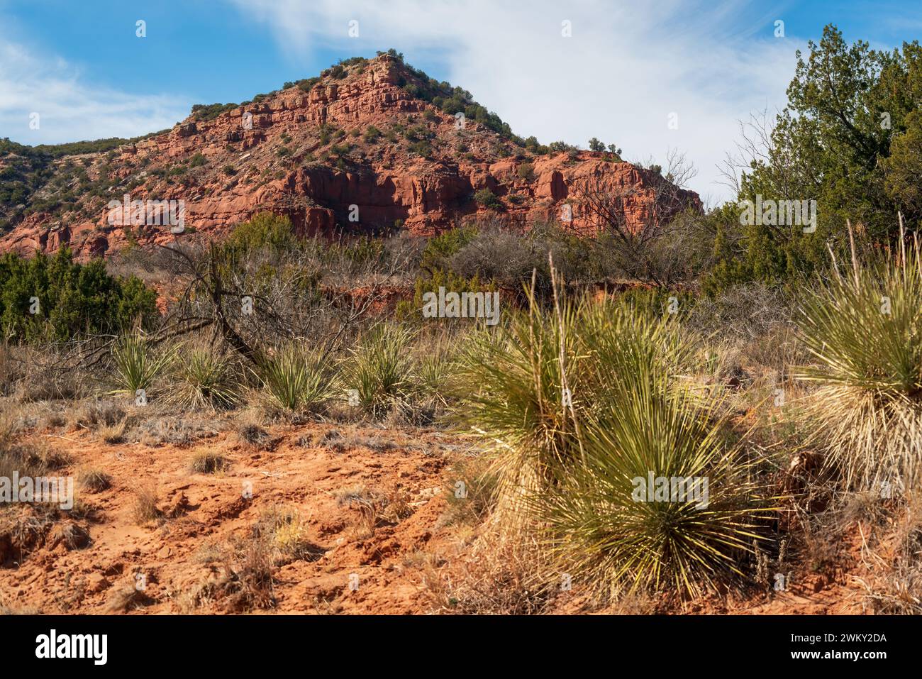 Caprock Canyons State Park, in the eastern edge of the Llano Estacado ...