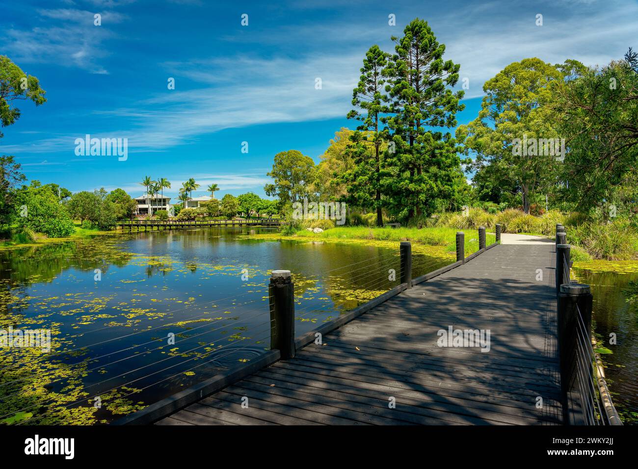 Gold Coast Botanical Gardens, Queensland, Australia Stock Photo - Alamy