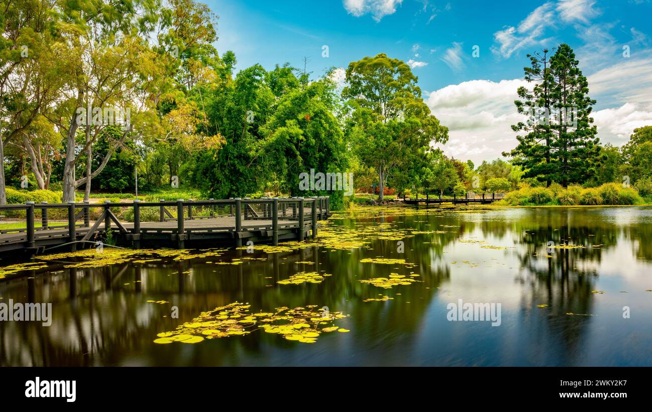 Gold Coast Botanical Gardens, Queensland, Australia Stock Photo - Alamy