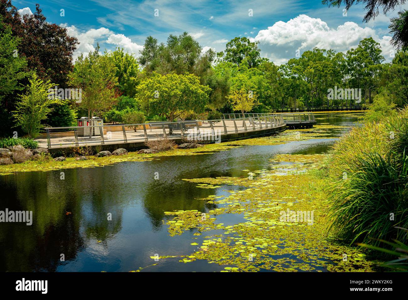 Gold coast botanic gardens hi-res stock photography and images - Alamy
