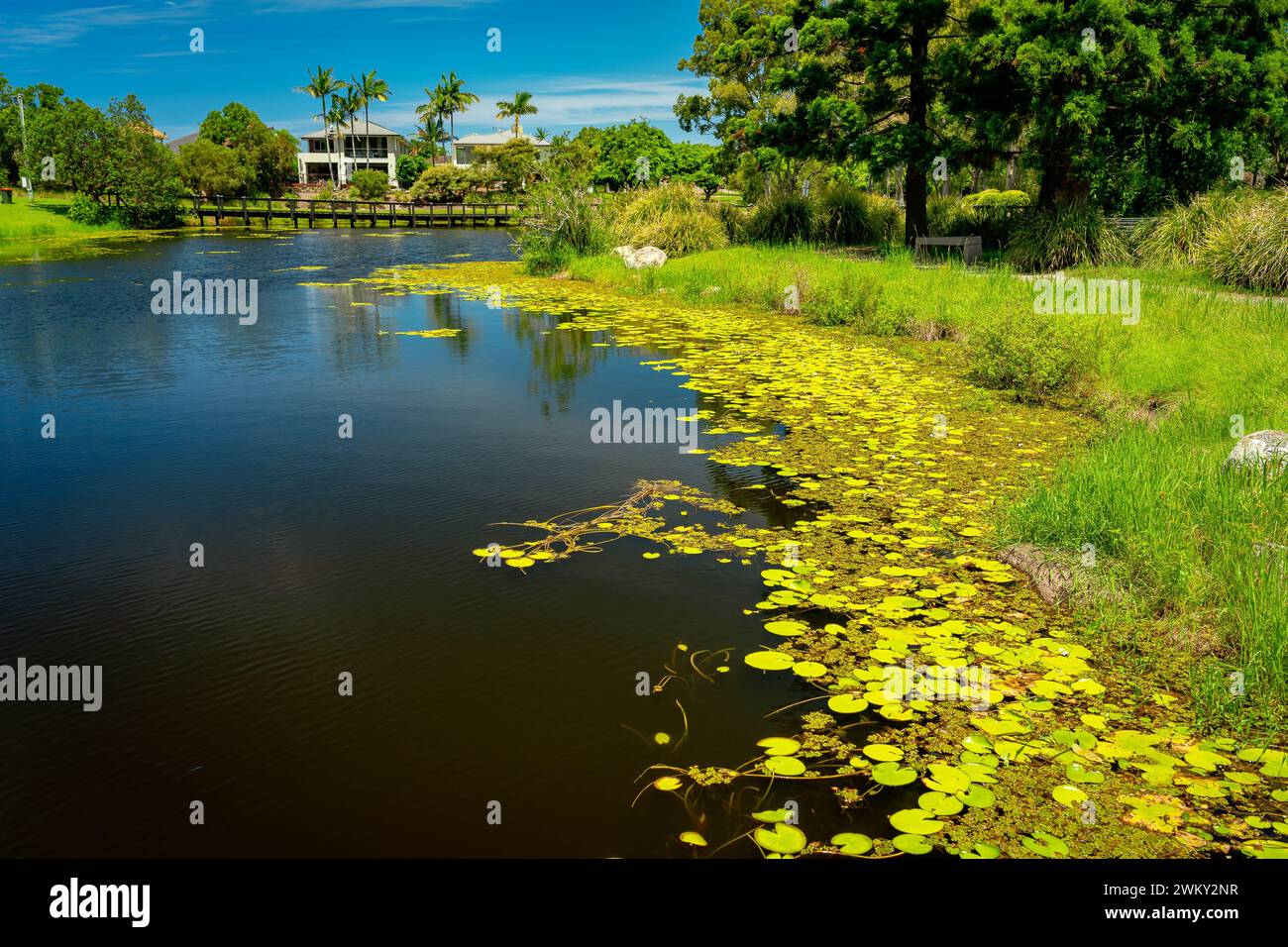 Gold Coast Botanical Gardens, Queensland, Australia Stock Photo - Alamy